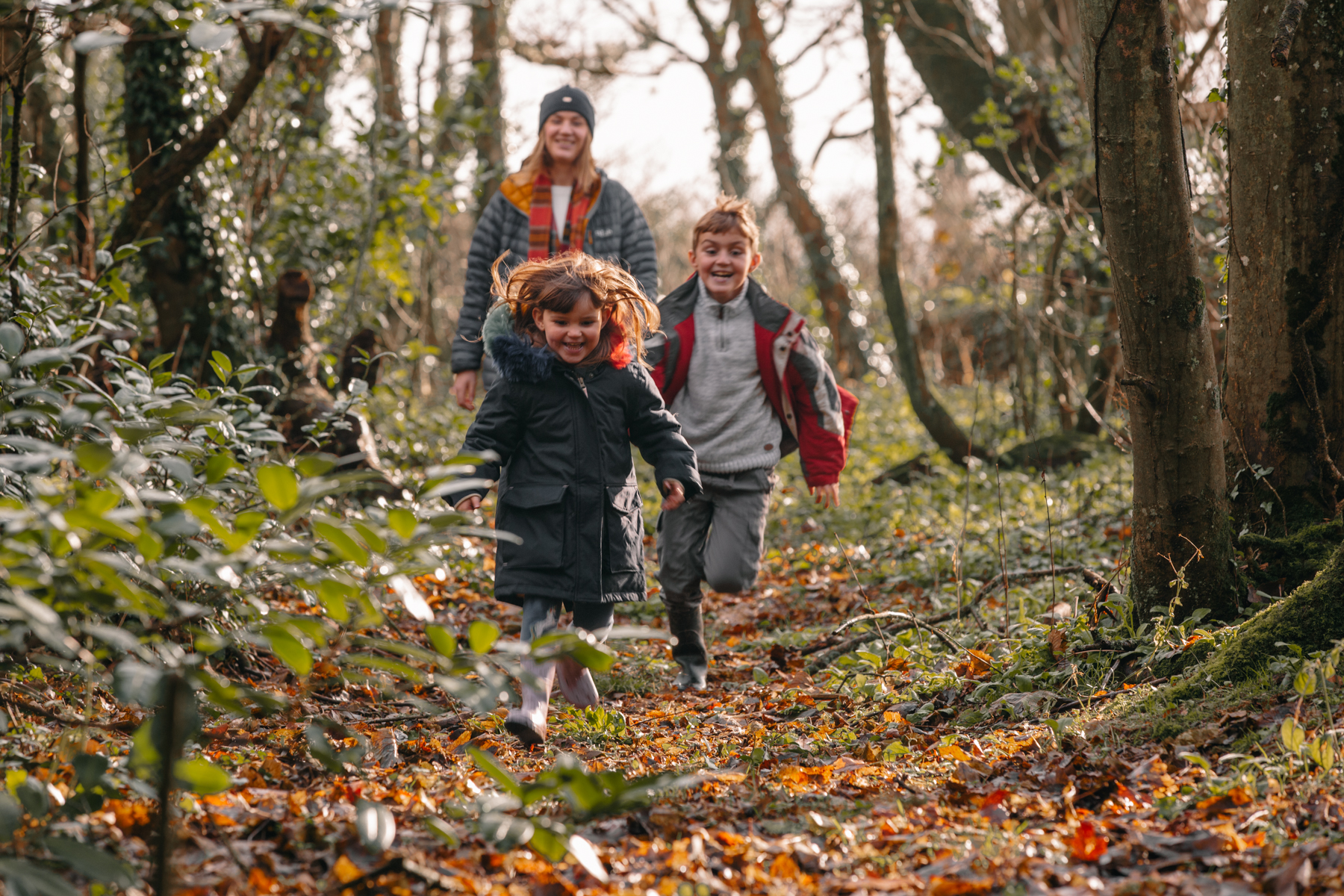 The best family activities in Cornwall - Caerhays Holidays